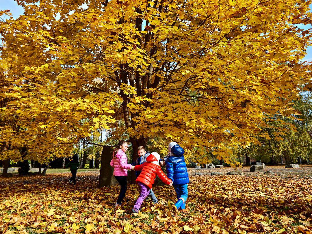 20 Activities to Help Your Family Fall Into Fall