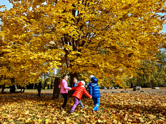 20 Activities to Help Your Family Fall Into Fall