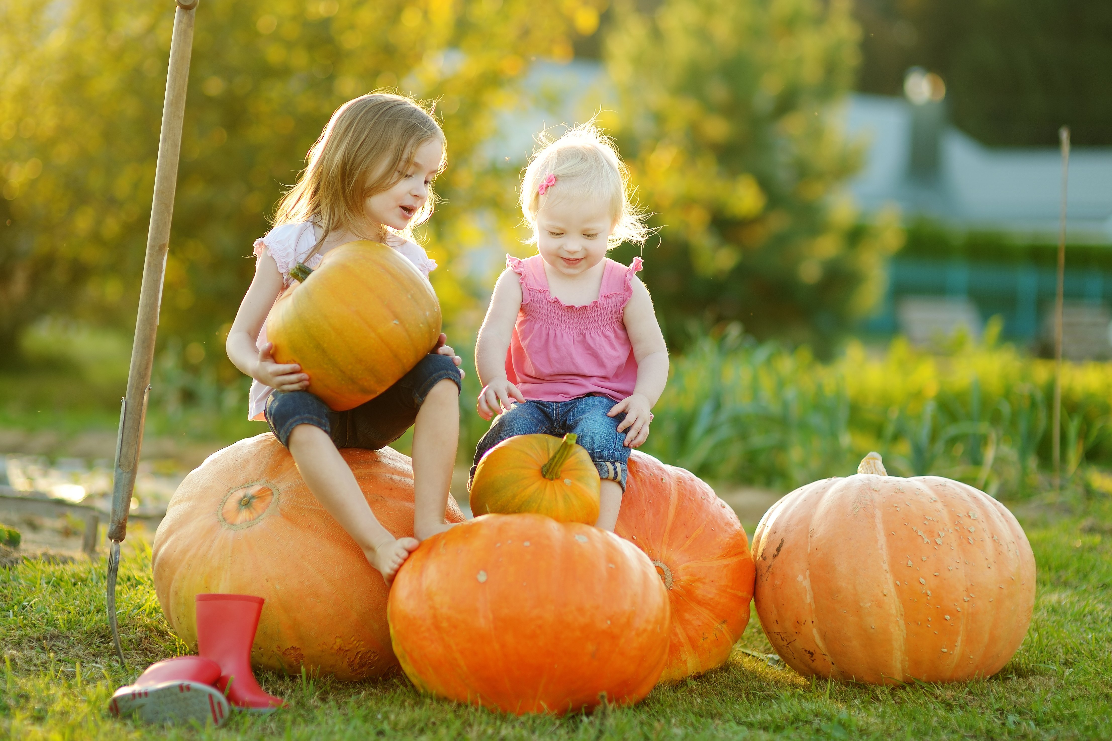 20 Activities to Help Your Family Fall Into Fall