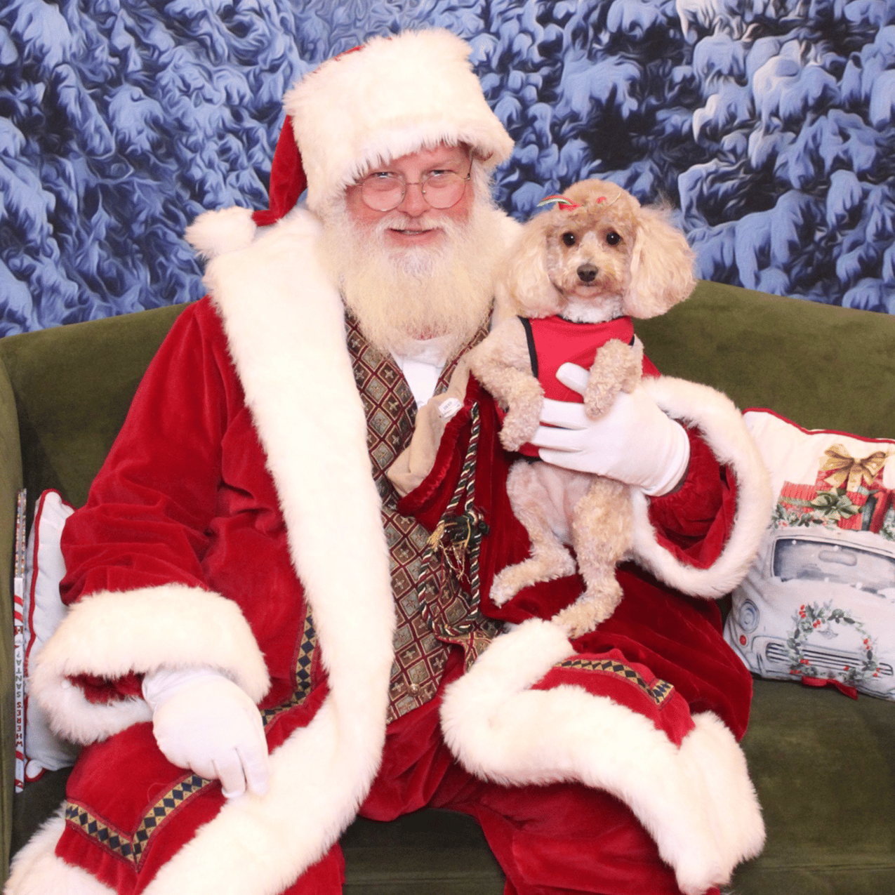 How to Prepare Your Pet for Santa Photos: Tips for a Fun and Festive ...