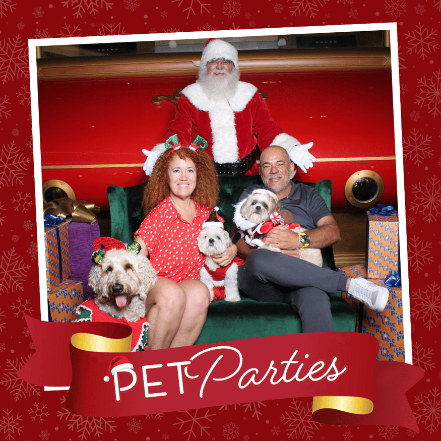 What to Expect at Your Santa Visit: A Guide for Families