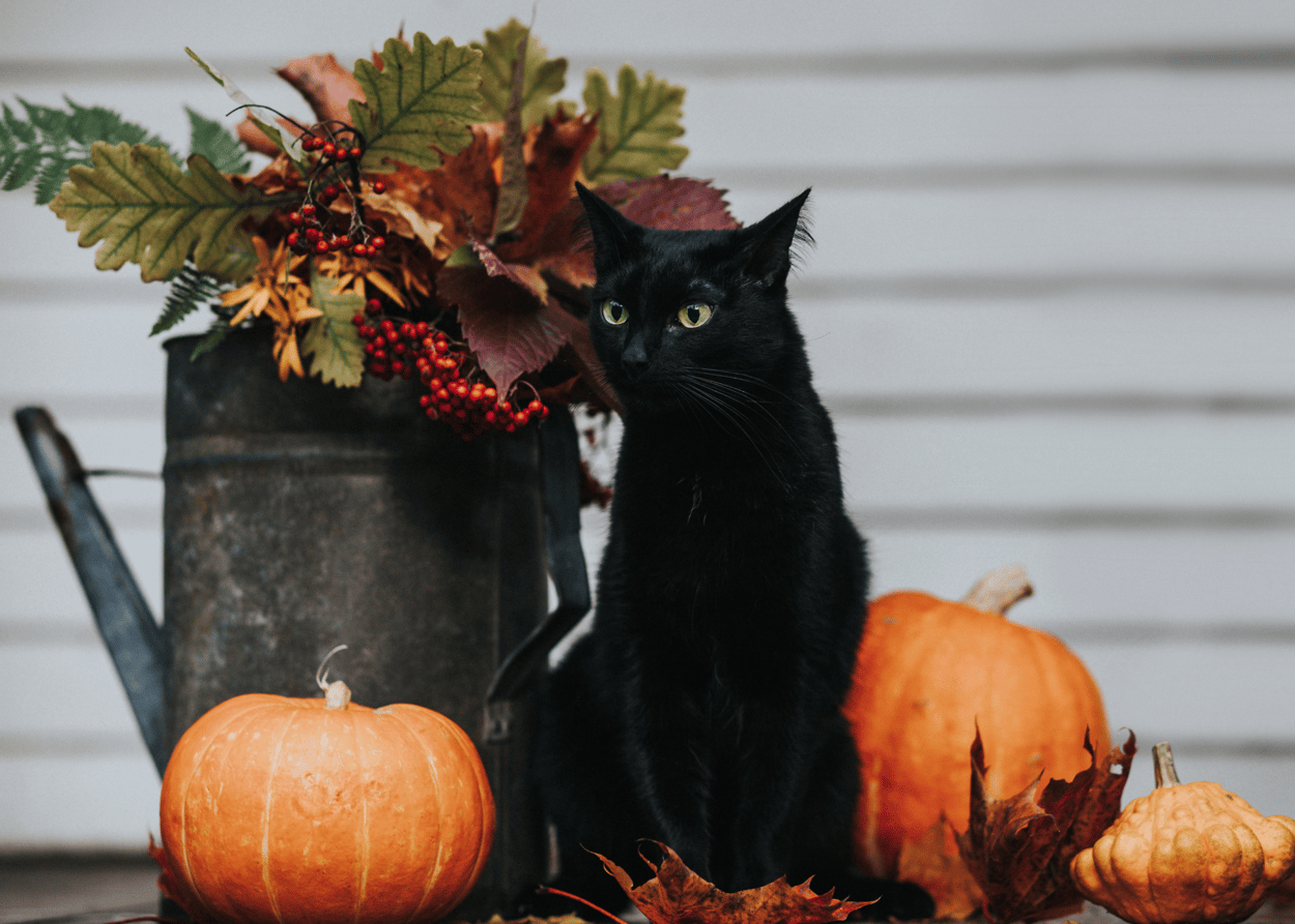 October Holidays To Add To Your Calendar