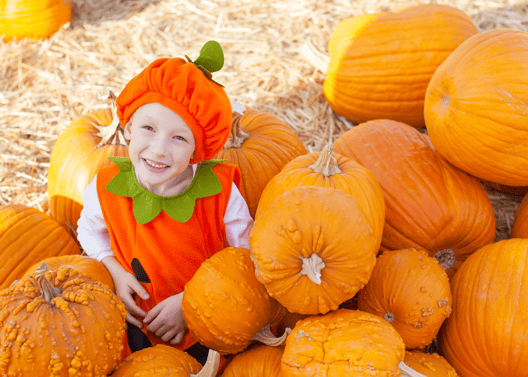 20 Activities to Help Your Family Fall Into Fall