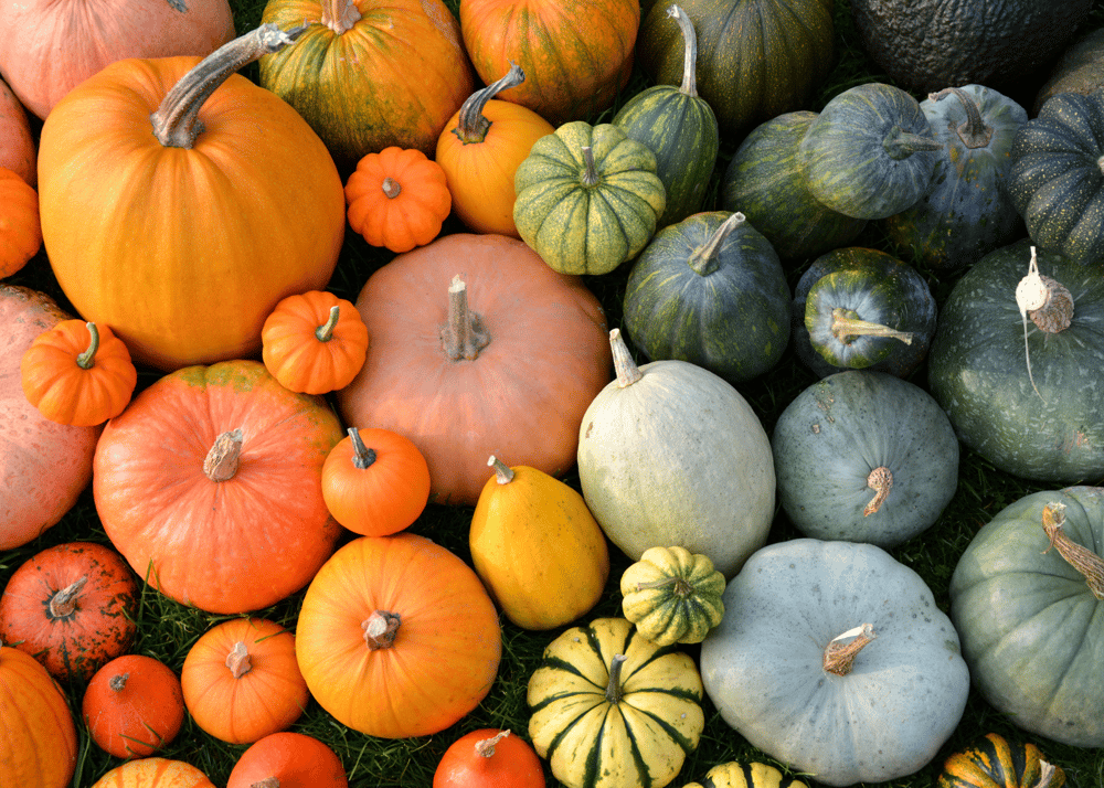 October Holidays To Add To Your Calendar