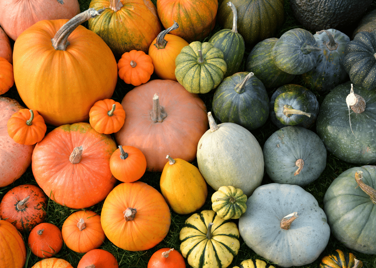 October Holidays To Add To Your Calendar