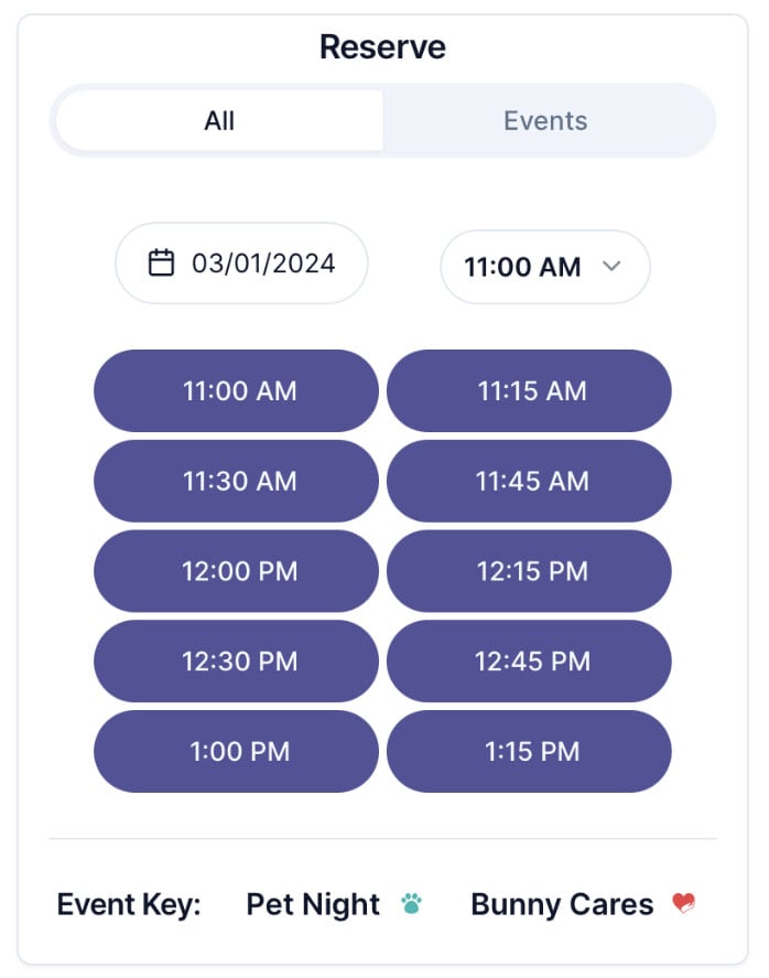 Show Me the Bunny; A Guide To Booking Your Bunny Visit