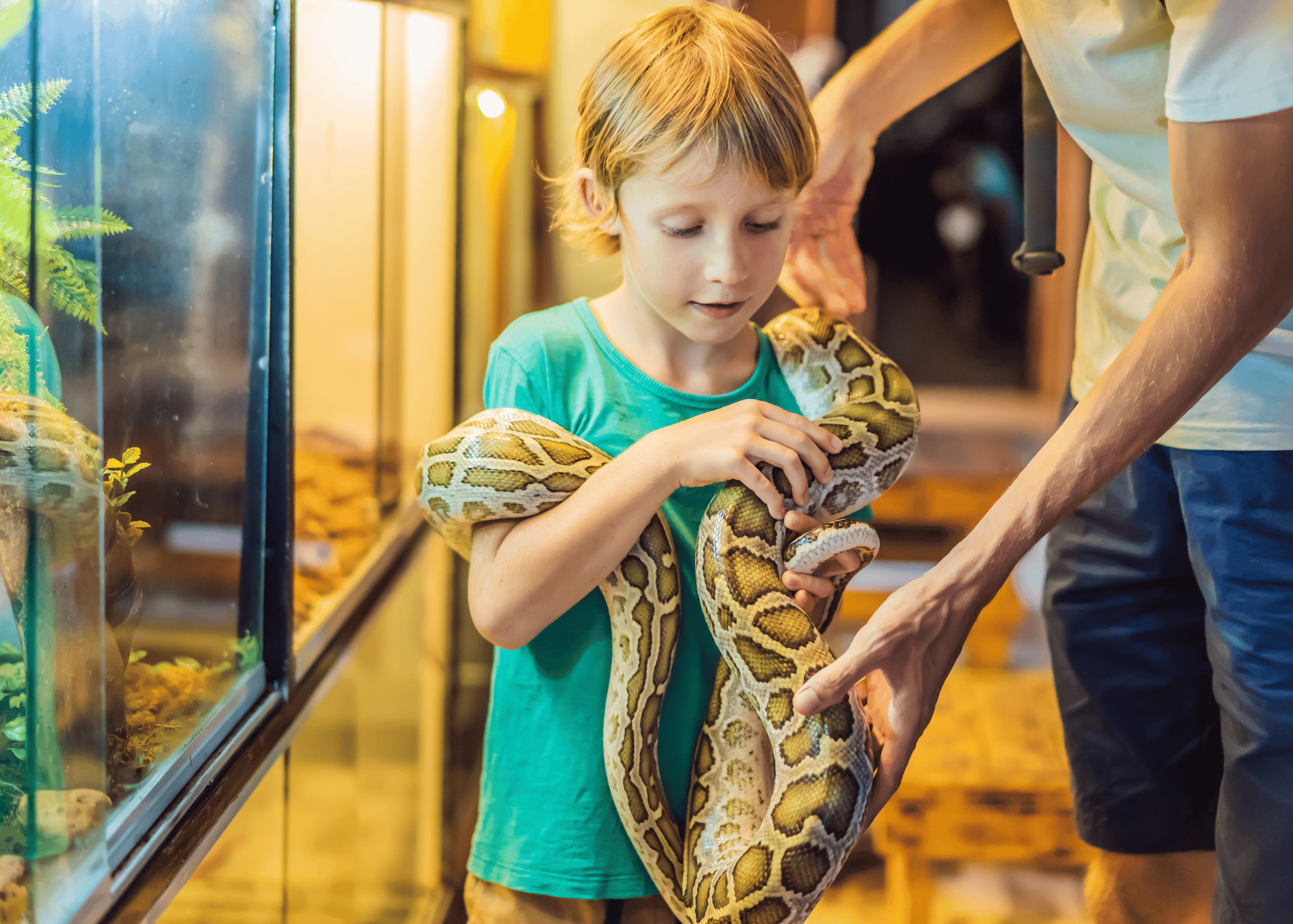 Roaring for Change: Celebrating Zoo Awareness Day!